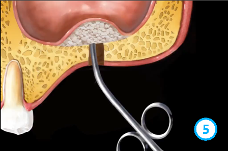Stomatologia Olechnowicz - Dentysta Olsztyn | Stomatolog i Ortodonta