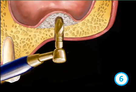 Stomatologia Olechnowicz - Dentysta Olsztyn | Stomatolog i Ortodonta
